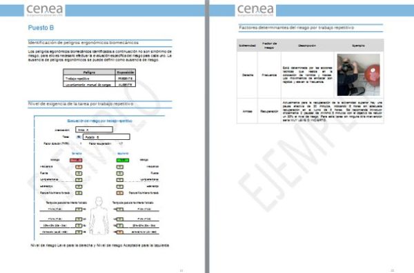 OCRA Checklist a Distancia | Cenea
